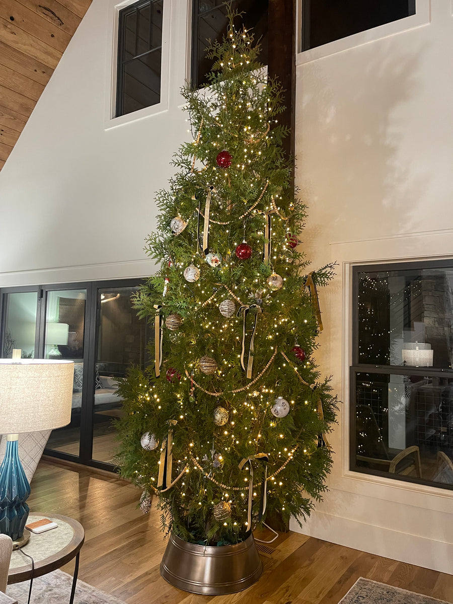 Gallery – Moon's Tree Farm