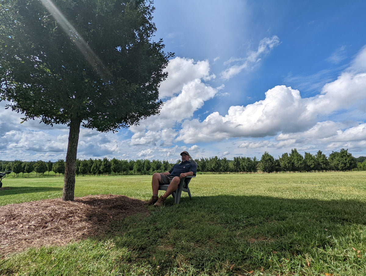 Gallery – Moon's Tree Farm