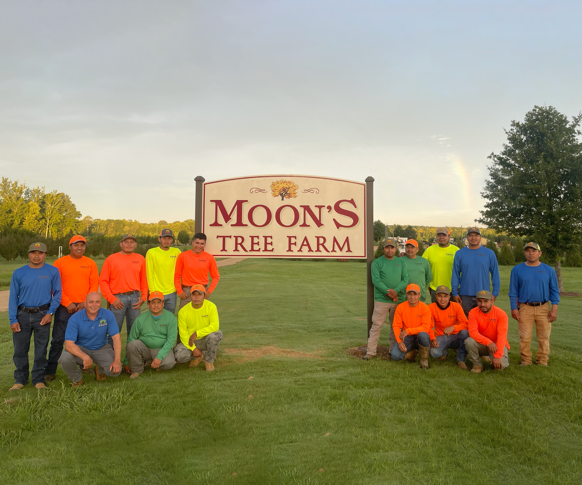 Meet the Team – Moon's Tree Farm